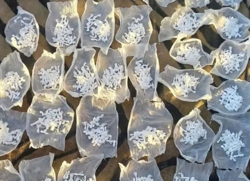 Concordia Se Secuestraron 2000 Envoltorios Con Estupefacientes Un